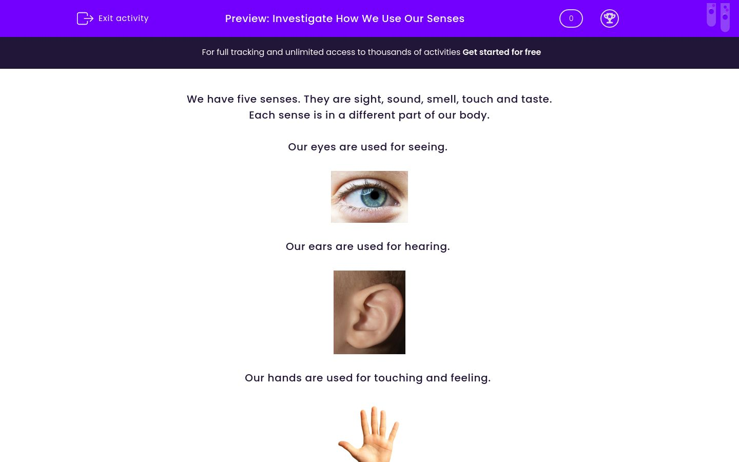 Investigate How We Use Our Senses Worksheet - EdPlace