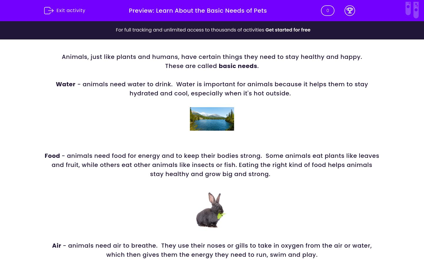 Learn About the Basic Needs of Pets Worksheet - EdPlace