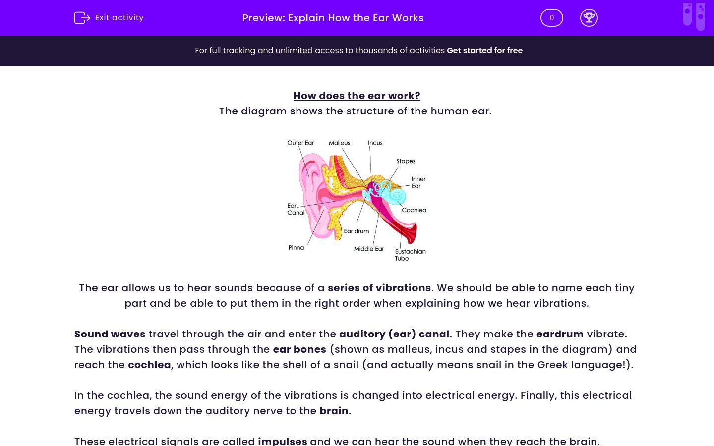 Explain How the Ear Works Worksheet - EdPlace