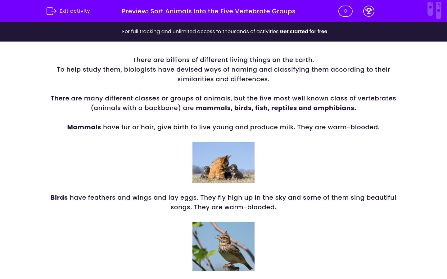 Sort Animals Into the Five Vertebrate Groups Worksheet - EdPlace