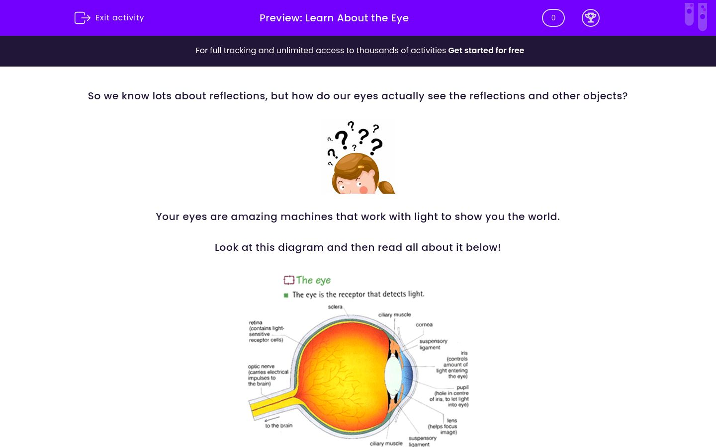 Learn About the Eye Worksheet - EdPlace