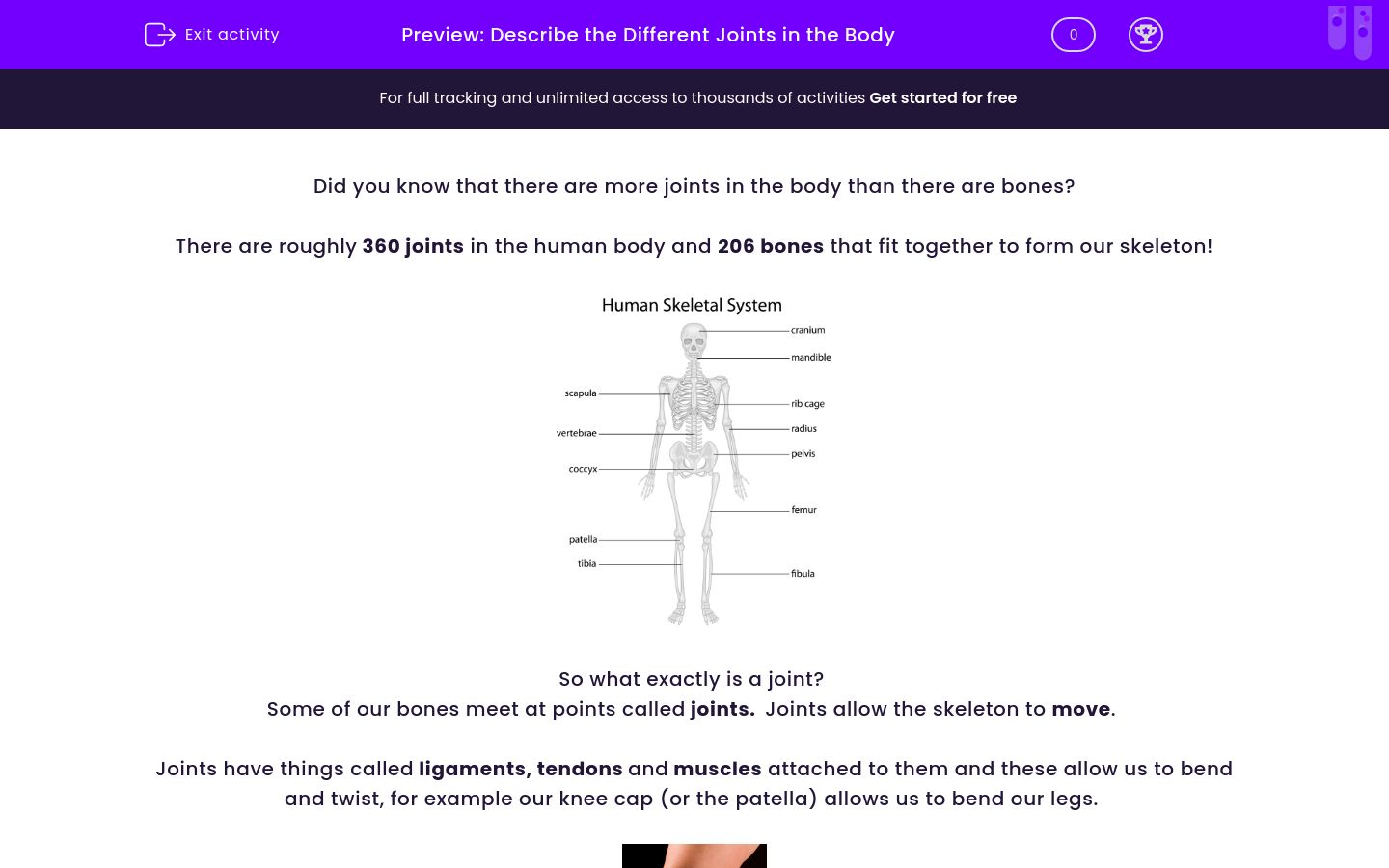 Describe the Different Joints in the Body Worksheet - EdPlace