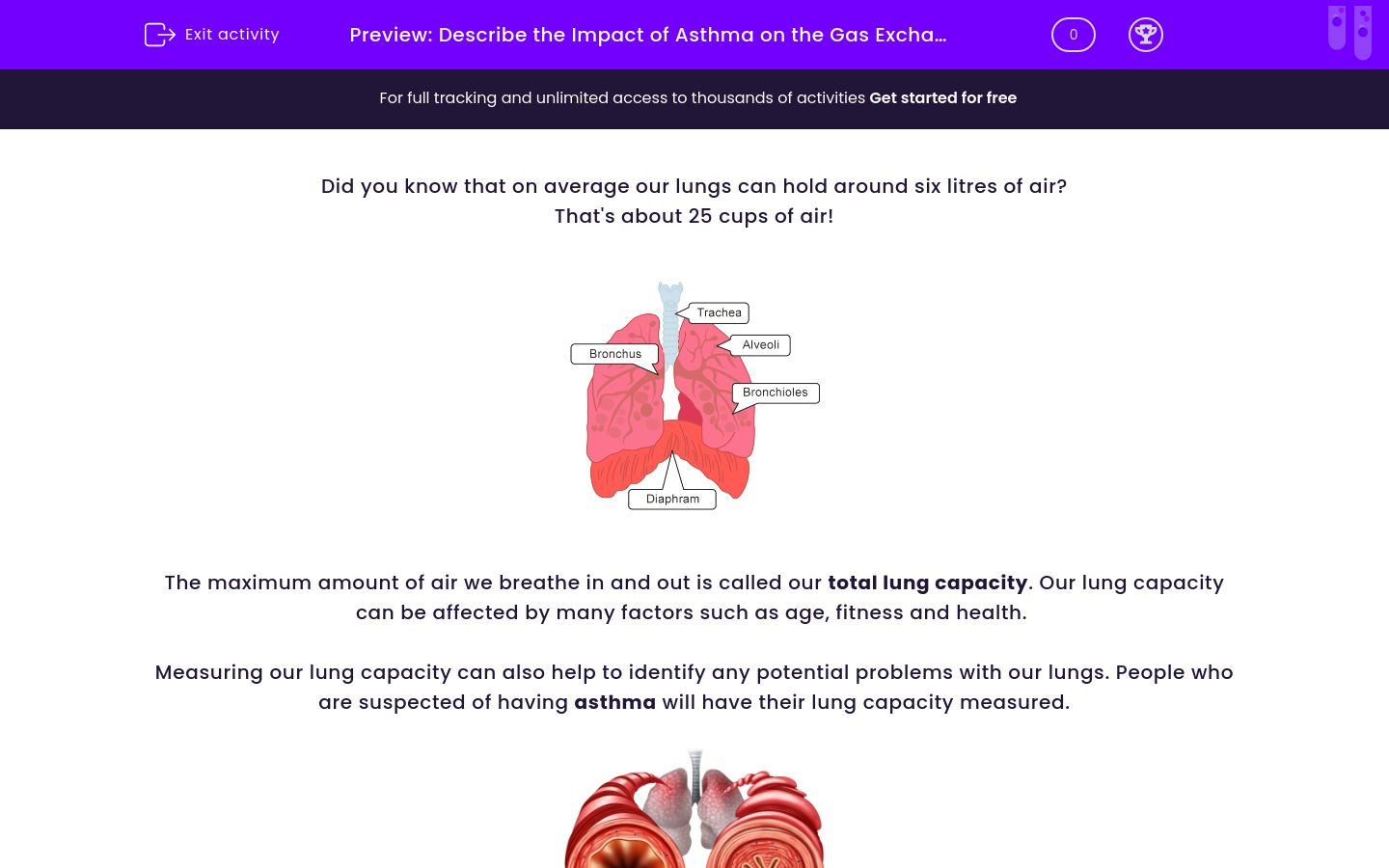 Describe the Impact of Asthma on the Gas Exchange System Worksheet ...