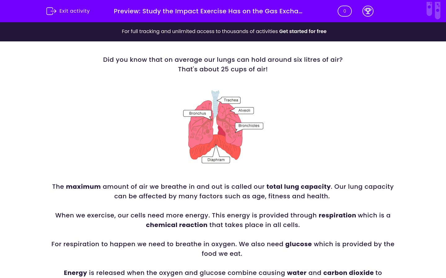 Study the Impact Exercise Has on the Gas Exchange System Worksheet ...